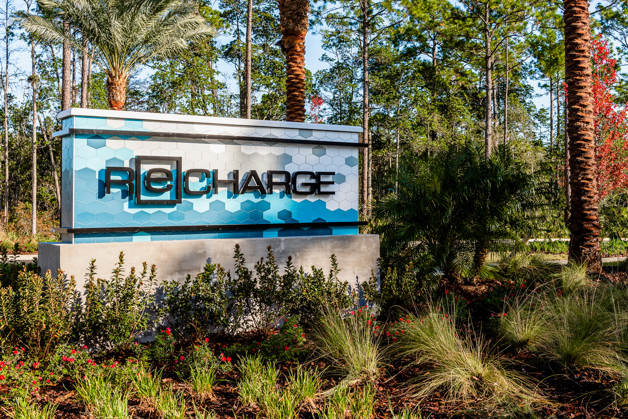 Recharge Photo Gallery